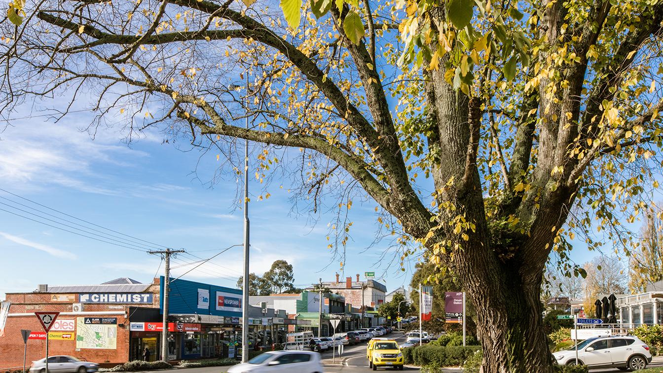 About Drouin and the Region - Ferntree Ridge