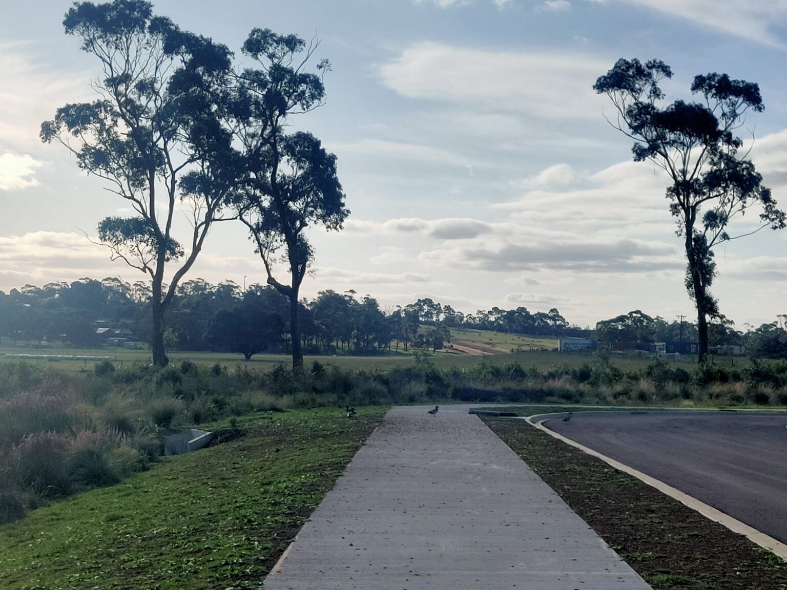 Ferntree Ridge – Housing development in Drouin