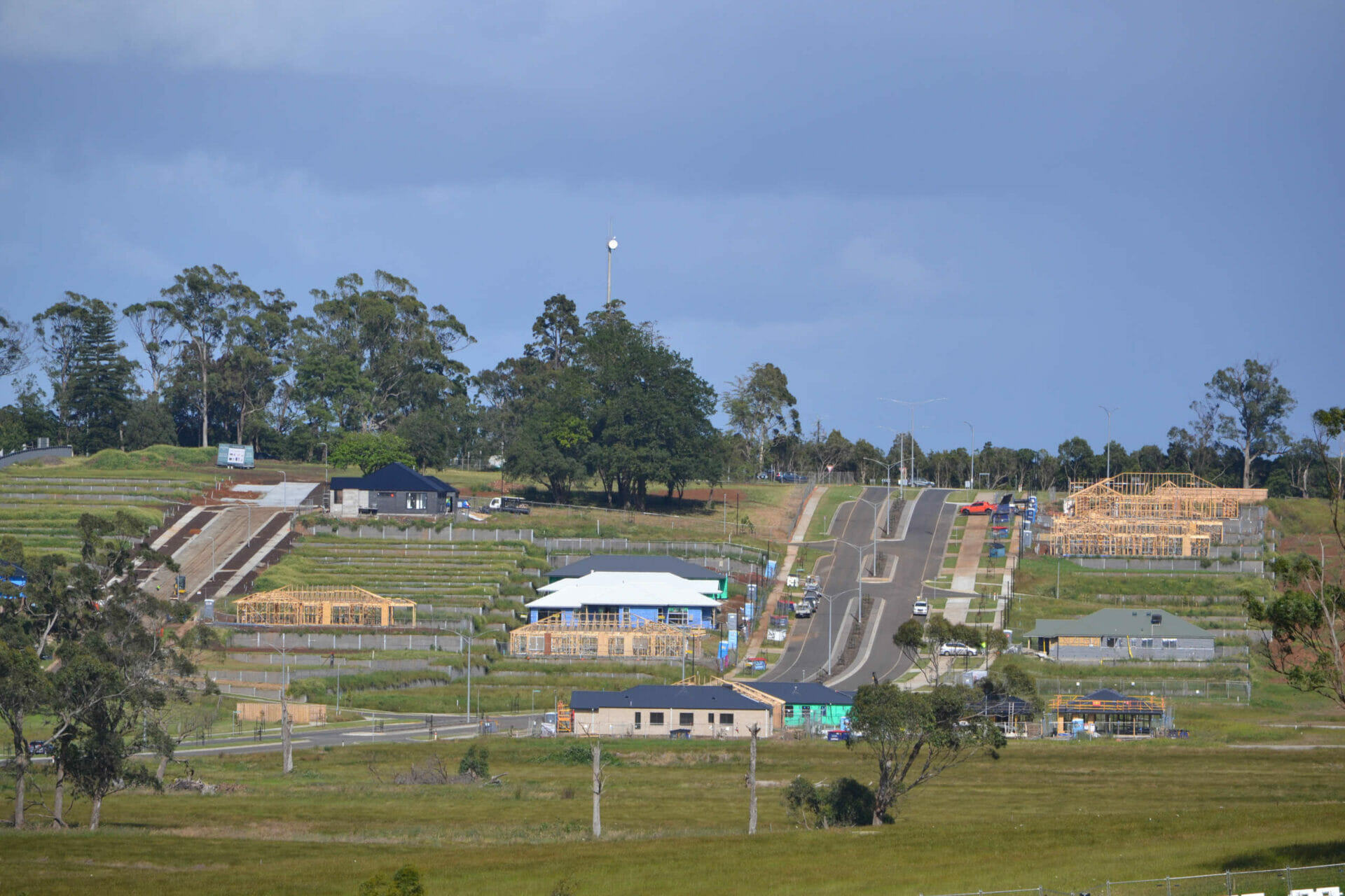 Ferntree Ridge - Ferntree Ridge